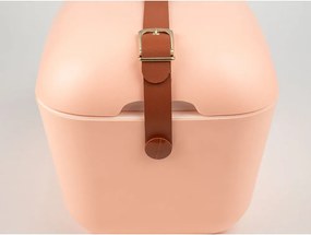 Růžový chladicí box 20 l Classic – Polarbox