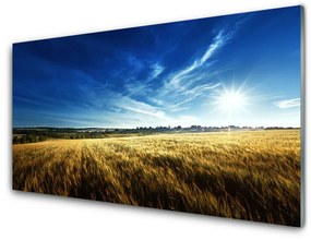 Obraz na skle Pole Obilí Slunce Krajina 100x50 cm