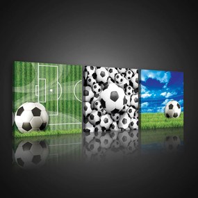 Postershop Obraz na plátně: Fotbalové míče - set 3ks 25x25cm