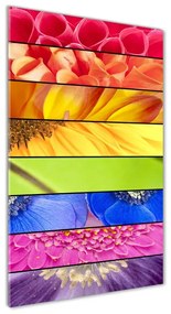 Wallmuralia Vertikální Fotoobraz na skle Barevné květiny 50x100