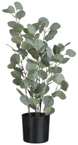 Umělá květina J-Line Maryath Eucalyptus 60 cm