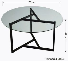 Konferenční stolek TRIO 42x75 cm čirá/černá