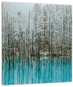 Obraz - Tyrkysový rybník, Biei, Japonsko (30x30 cm)