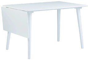 ROWICO Rozkládací jídelní stůl LOTTA 120x80 cm 110649