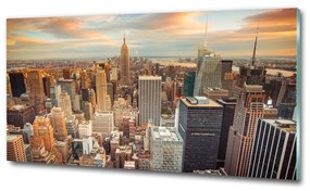 Wallmuralia Fotoobraz na skle New York ptačí pohled 100x50