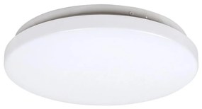 Rabalux | Rabalux 3338 - LED Stropní svítidlo ROB 1xLED/20W/230V | RL3338