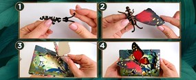 EscapeWelt 3D dřevěné puzzle Motýl