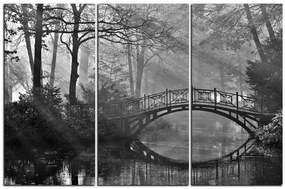 Obraz na plátně - Starý most  1139QB (105x70 cm)