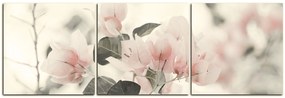 Obraz na plátně - Papírové květiny - panoráma 557FB (150x50 cm)