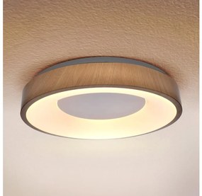 Brilagi - LED Stropní svítidlo DORIA LED/24W/230V