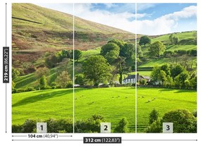 Fototapeta Jarní Cumbria 104x70