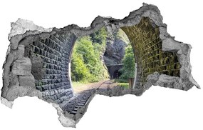 Wallmuralia Fototapeta díra na zeď 3D Železniční tunel 95x73 cm