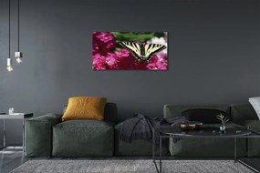 Obrazy na plátně květiny motýl 140x70 cm