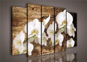 Obraz na plátně orchidej na dřevě 150 x 100 cm