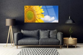akrylový obraz Slunečnice Mraky 120x60 cm