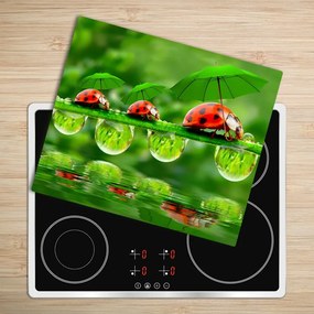 Skleněná krájecí deska Ladybug slunečníky 60x52 cm