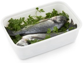 Plastové krabičky do mrazáku, Rotho FREEZE, bílá, 1 x 3,7l (30x20x9)