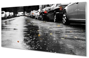 Obraz na skle Car podzimní listí silnice 120x60 cm