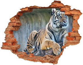 Wallmuralia Nálepka 3D díra na zeď Tygr 90x70 cm