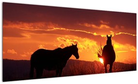 Obraz - koně při západu slunce (100x40cm)