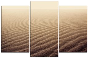 Obraz na plátně - Písek v poušti 1127C (105x70 cm)