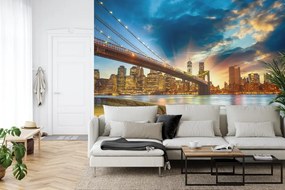 Fototapeta Pohled Na New York City Vliesová tapeta 90x60