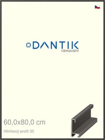 DANTIK rámeček 60x80 | ALU profil 6035 Dýha černá (Plexi Čiré)