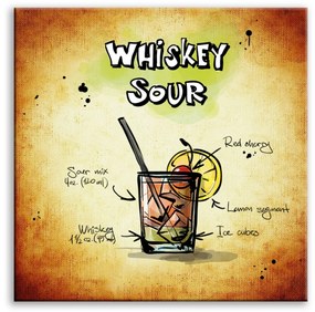 Malvis ® Obraz cedule Whiskey Sour Velikost (šířka x výška): 40x40 cm