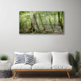Obraz na skle Les Příroda Džungle 100x50 cm