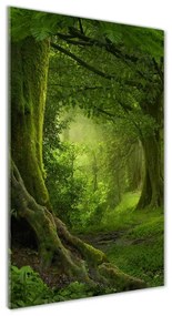 Wallmuralia Vertikální Fotoobraz na skle Tripická džungle 50x100