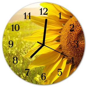 Nástěnné hodiny obrazové na skle - Slunečnice