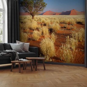 Fototapeta Desert landscape, Namibia