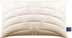 XXXLutz POLŠTÁŘ POD HLAVU, 40/80 cm Billerbeck - Polštáře pod hlavu - 0032790260