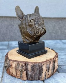 Bronzová socha - Francouzský buldok - busta