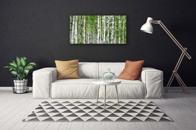 Obraz na plátně Bříza Les Stromy Příroda 100x50 cm