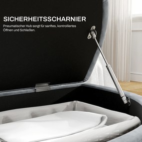 HOMCOM Lavice s úložným prostorem a otevřeným víkem, čalouněná lavice z materiálu Velvet-Touch, kaučukovník, tmavě šedá, 120x46x42cm do ložnice a pře…