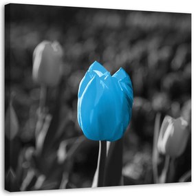 Gario Obraz na plátně Modré tulipány v šedé barvě Rozměry: 30 x 30 cm