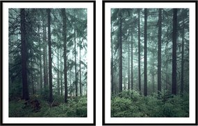 Obraz Plakáty V Rámu 53x73 cm Diptych Sada 2 obrazů Temný les P2088