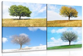 Obraz strom v ročních obdobích Varianta: 60x40