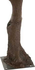 Velkolepý olivovník Olea Tree - 295*295*220 cm