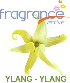 Matrace Ylang z paměťové pěny DreamBed - 80x200cm