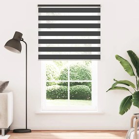 Zebrová roleta 120,9 x 230 cm, šířka látky 116,7 cm, černá 240220