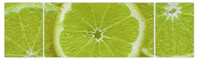 Obraz - citróny na řezu (170x50 cm)