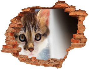 Wallmuralia Díra 3D fototapeta nástěnná Nálepka malá kočka 90x70 cm
