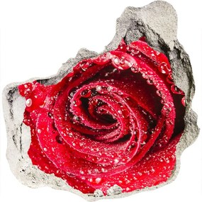 Wallmuralia Samolepící díra Kapky vody na růži 75x75 cm