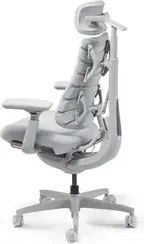LiberNovo Omni Dynamic Ergonomic Chair (Space Gray) - 48cm