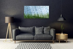 Obraz na skle Tráva Voda Příroda 140x70 cm