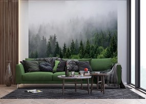 Vliesová fototapeta na zed' Les v Ranní Mlze | 300 x 270 cm | DFT4P5701