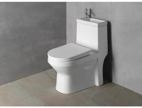 Aqualine Hygie WC sedátko SoftClose, bílá PS104
