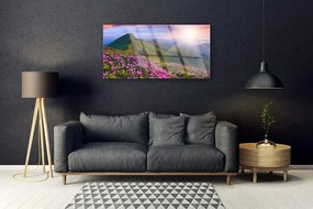 akrylový obraz Hory Louka Květiny Krajina 100x50 cm